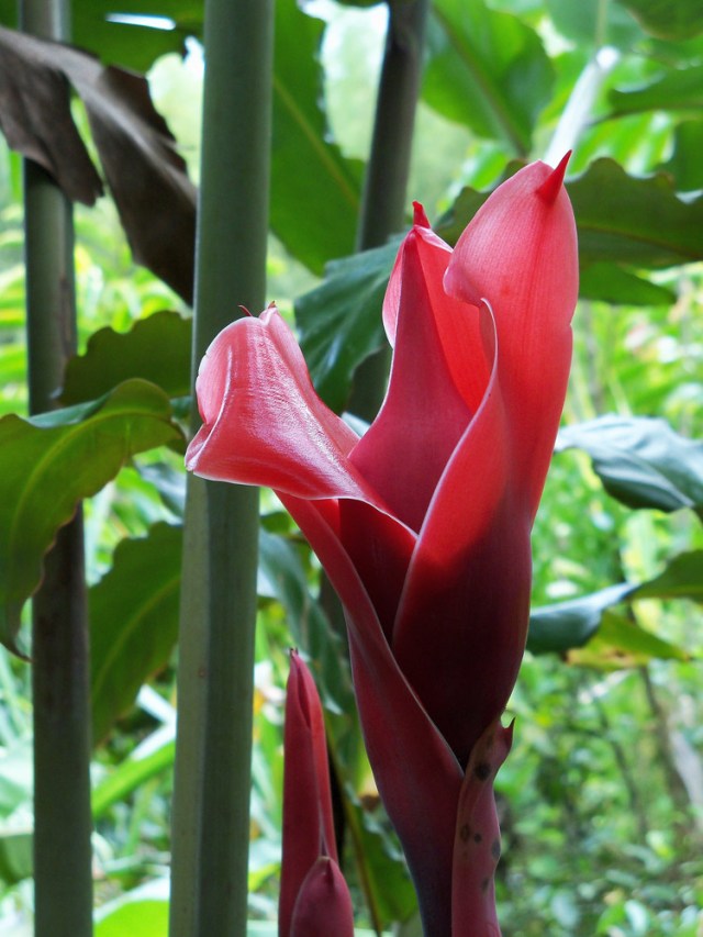 Volcan | Sitio Barriles | the Barrels Archaeological Site | The Panama ...