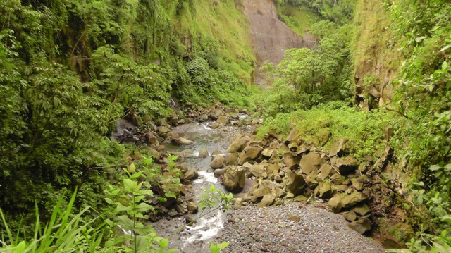 Macho de Monte, revisited | The Panama Adventure
