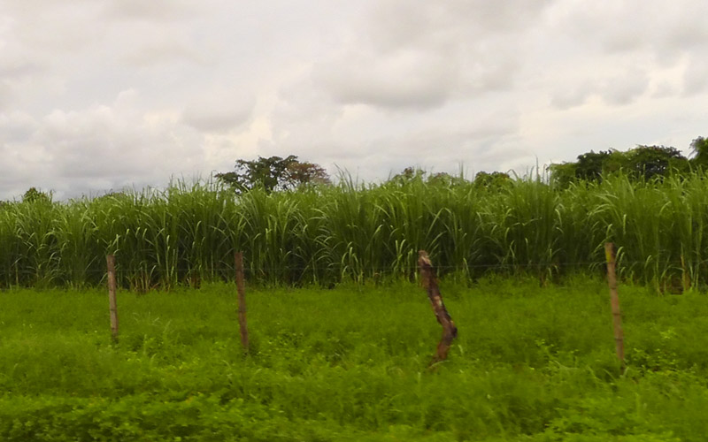 Driving through the Panama Countryside | The Panama Adventure