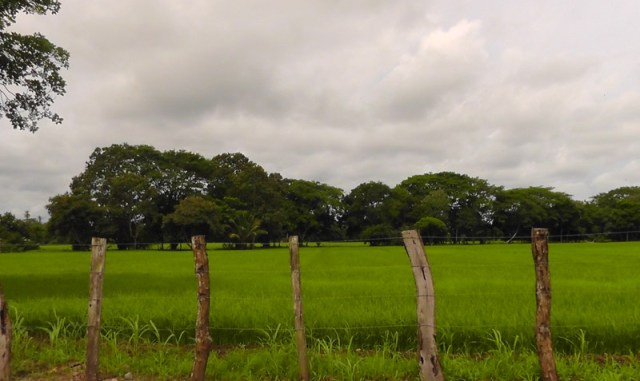 Driving through the Panama Countryside | The Panama Adventure