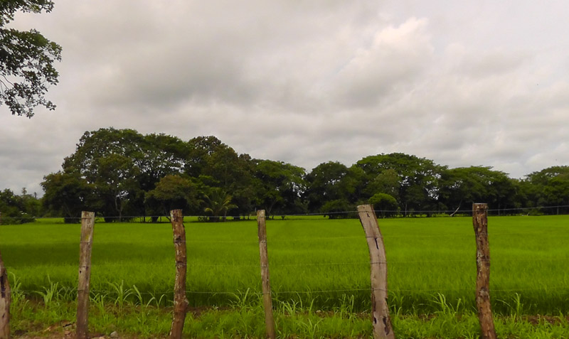 Panama countryside 4 | The Panama Adventure