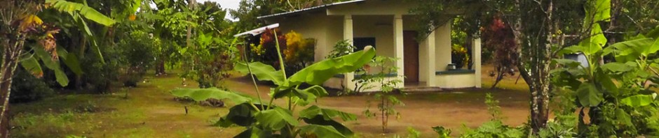 Driving through the Panama Countryside | The Panama Adventure