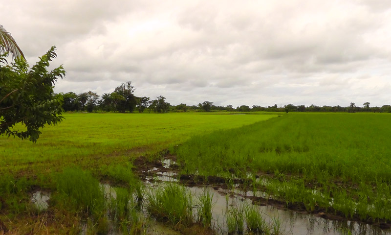 Driving through the Panama Countryside | The Panama Adventure