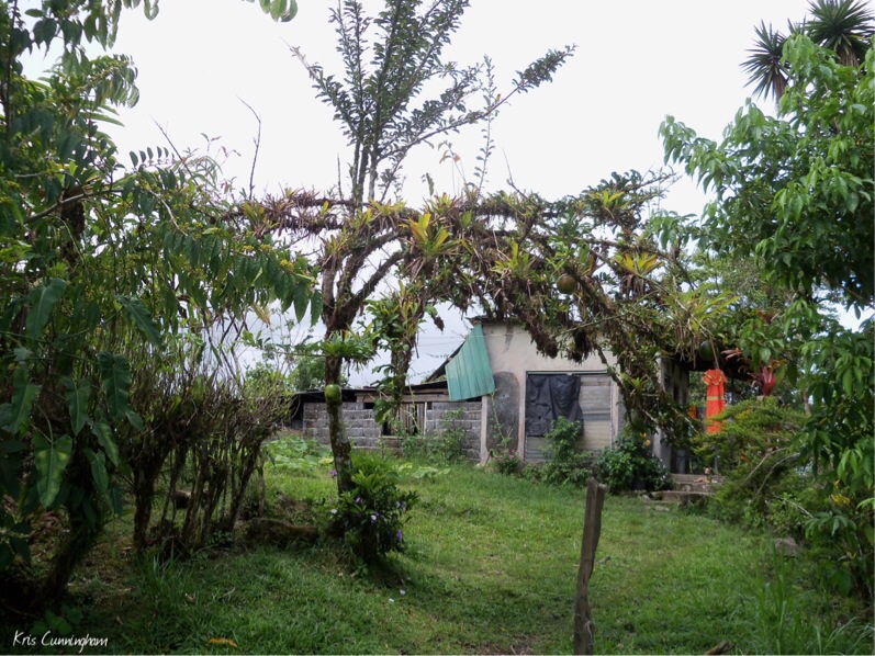 A Visit to the Finca (Farm) | The Panama Adventure